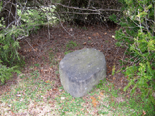 Inglewood – The Cabell Family Society, Inc.