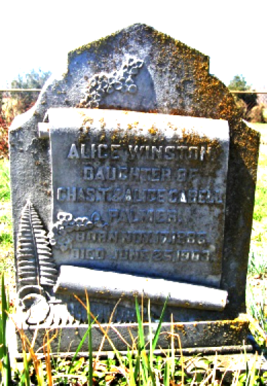 Palmer_Alice Winston – The Cabell Family Society, Inc.